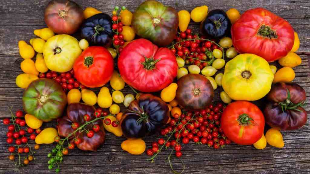 Gardening Class: Tomato Growing - Seeds and Soil Farm