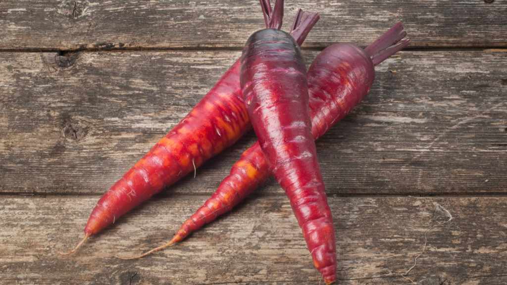 Spring Direct Sow Seed Bundle - Seeds and Soil Farm